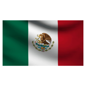 BFG Fresh – Food Trading Company in Dubai