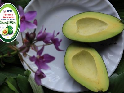 Avocado – BFG Fresh