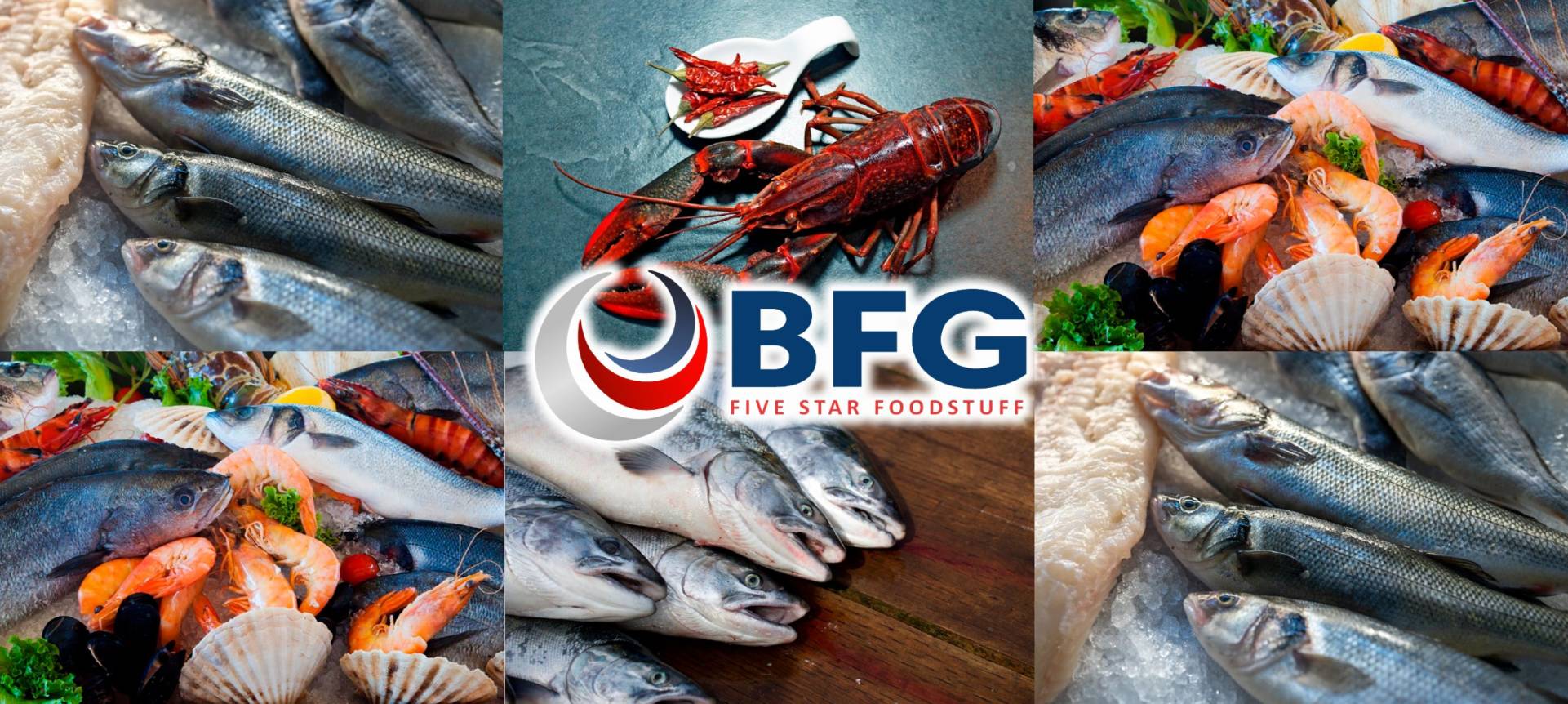 BFG Fresh – Food Trading Company in Dubai